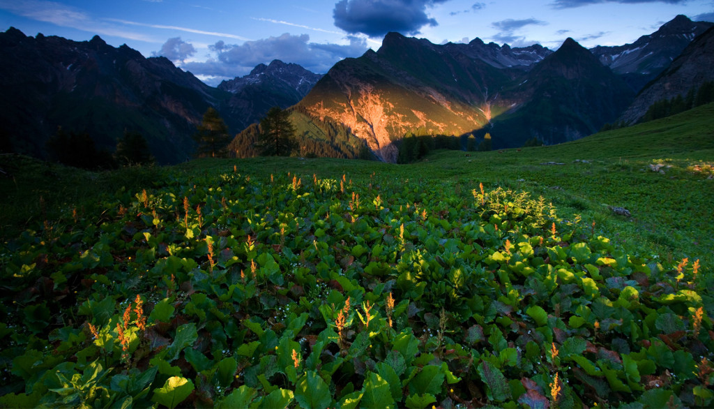 Example of Representational Landscape Photography Lesson102a – Icon ...