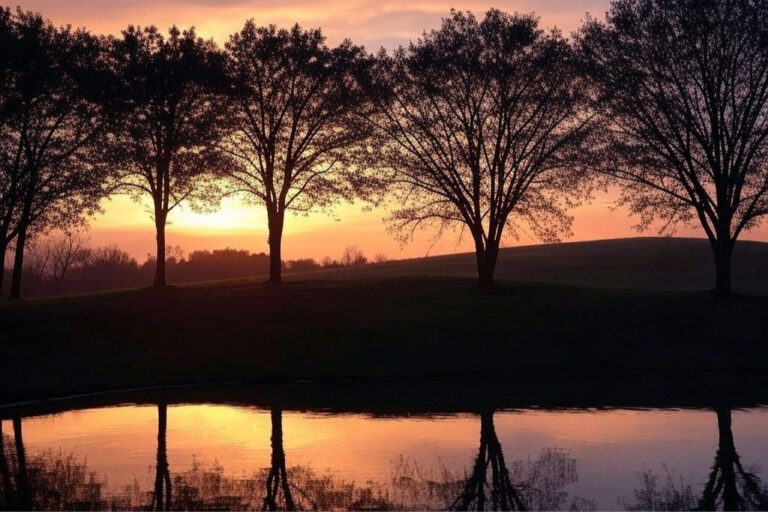 Working with Backlighting: Creating Silhouettes, Rim Lighting, and ...