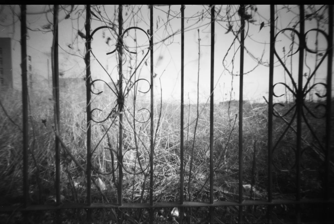 Pinhole Photography: Making Images Without a Lens | Icon Photography School