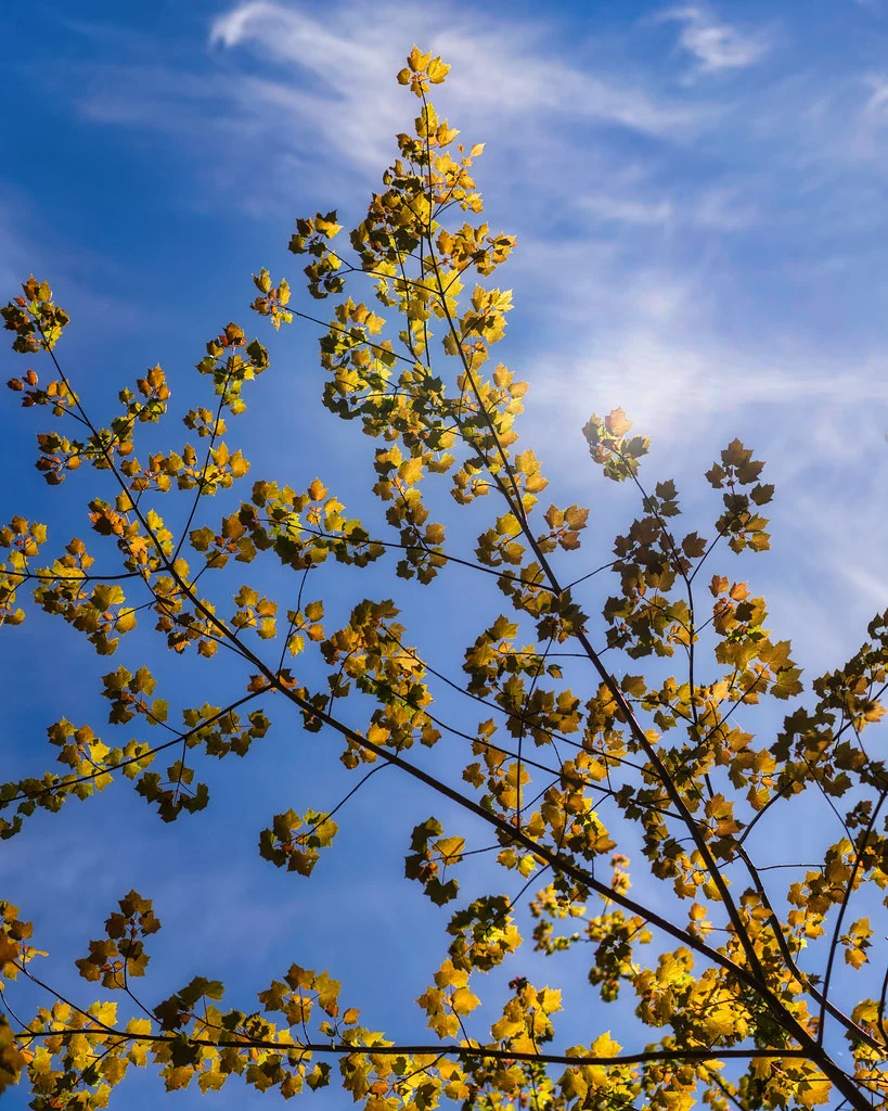 How to Remove Objects in Photoshop: Content-Aware Fill Guide | Icon ...