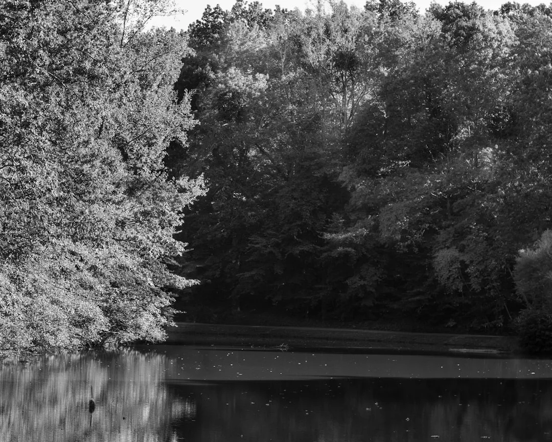 The Zone System: Ansel Adams' Approach to Perfect Exposure | Icon ...